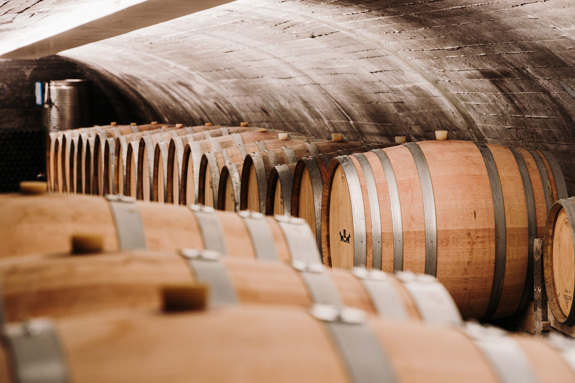 Enoteca Colli Euganei degustazioni e cucina Enoteca Monte Fasolo