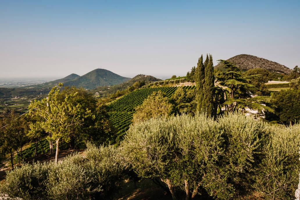 Enoteca e Cantina Vini Tipici Colli Euganei Enoteca Monte Fasolo