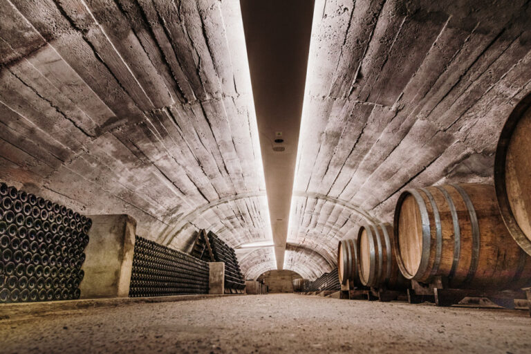 Enoteca e Cantina Vini Tipici Colli Euganei Enoteca Monte Fasolo